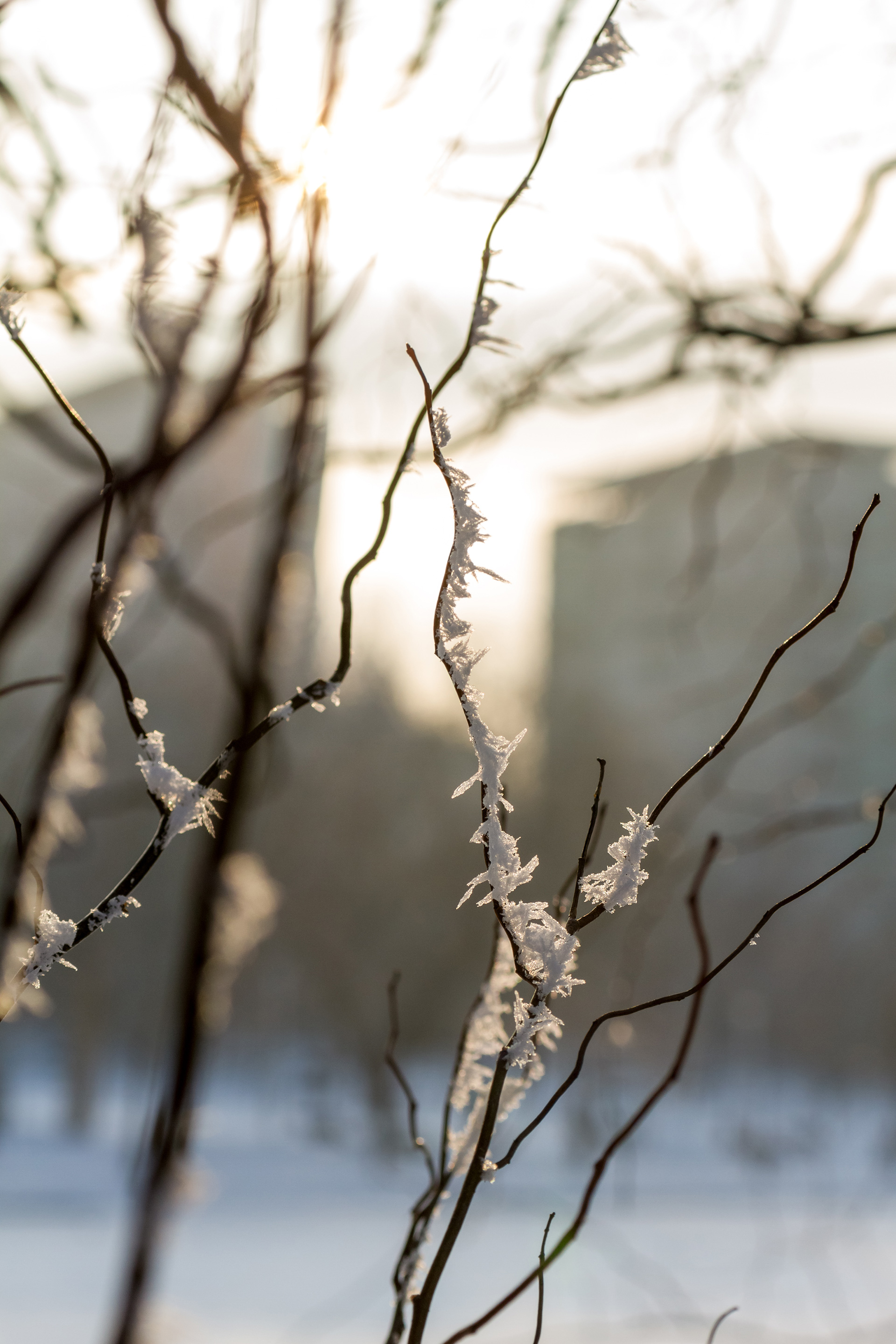 Galbanum - Andrew Souter - Autumn Rains